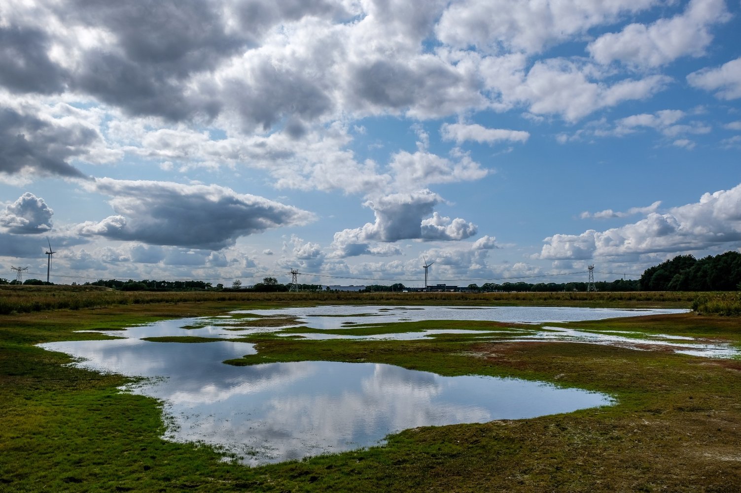 Smarter Flood-Risk Planning: How professionals leverage GeoSmart in the ...